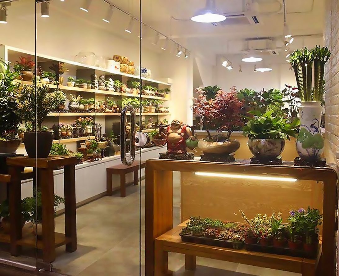 Best plant stores: Where to buy indoor and outdoor plants in Macao