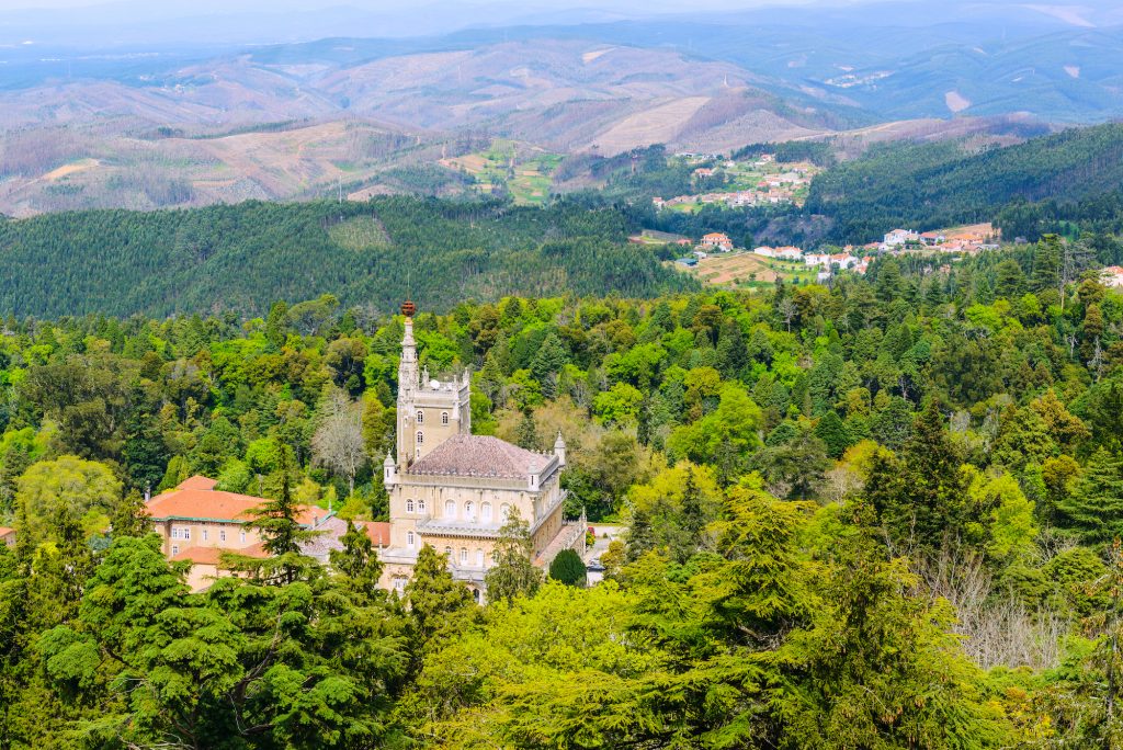 A beginner's guide to Bairrada: An often-overlooked Portuguese wine region