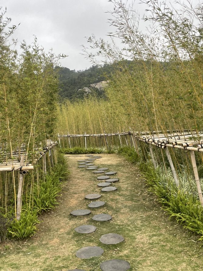 Here are Macao's must-see parks and gardens