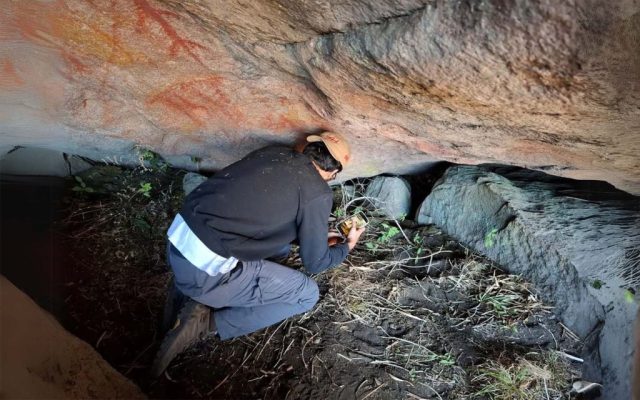 Brazilian authorities reveal landmark cave painting discovery
