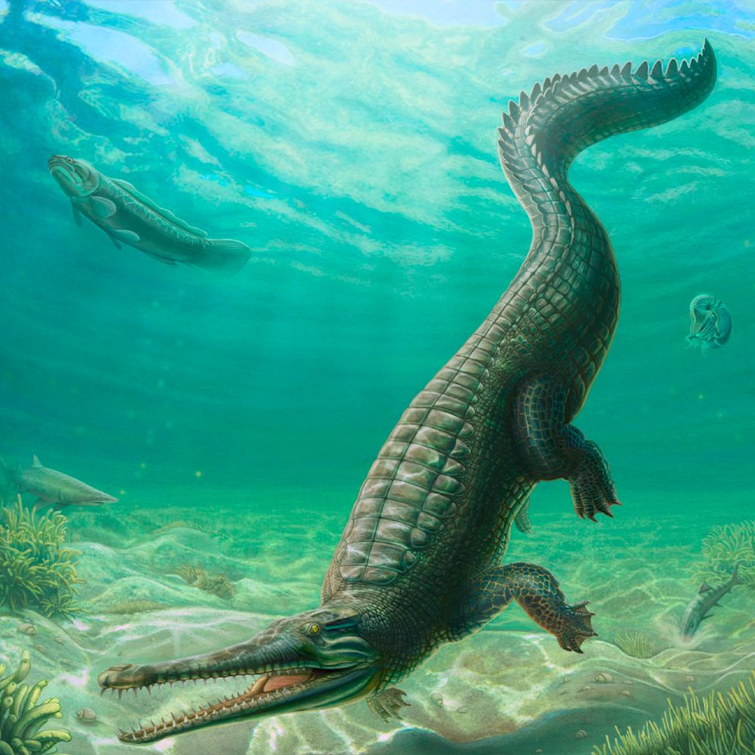 Palaeontologists uncovered an ancient marine crocodile fossil in Angola