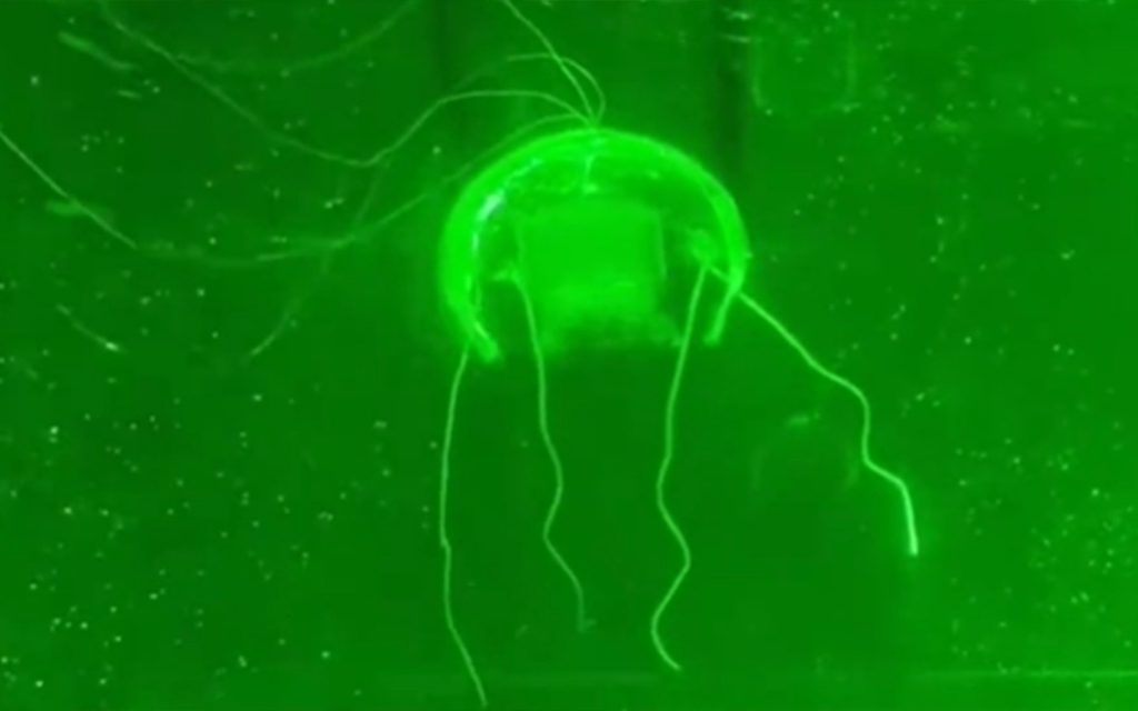 China’s ‘jellyfish robot’ promises to be a breakthrough in deep-sea ...