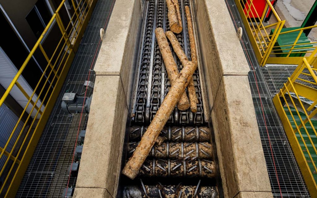 Angola agrees to US$750 million agro-industrial pulp project